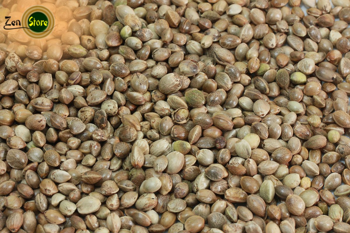 Semi di Canapa - Superfood Proteico e Ricco di Omega 3 | Zenstore